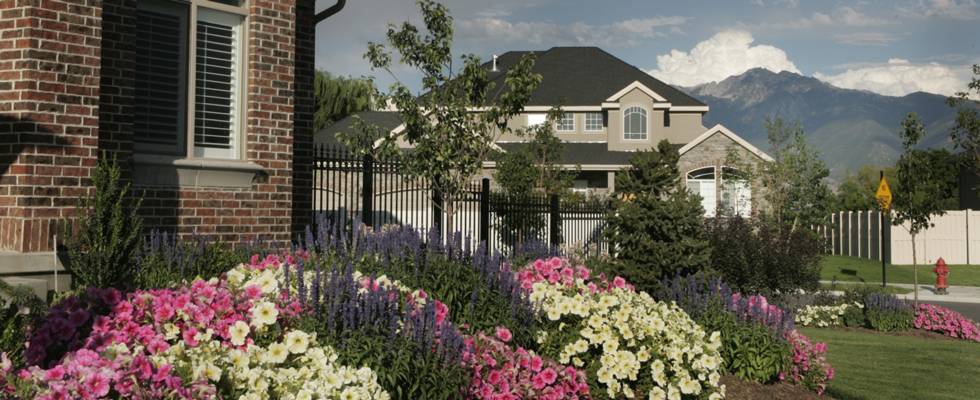 CCMC Expands Its Relationship with Ivory Homes - CCMC | Community ...